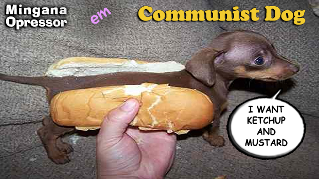 O meu cachorro é comunista